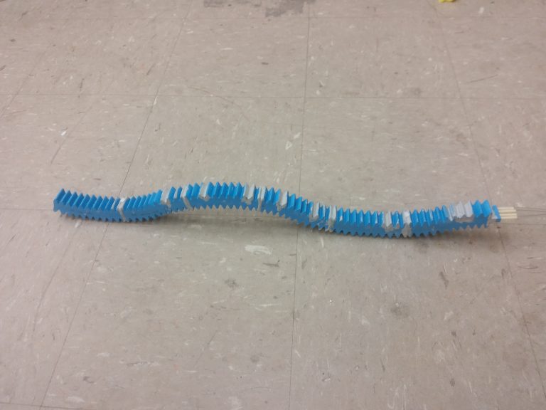 SML soft snake robot paper selected Best Paper finalist at 2020 IEEE ...